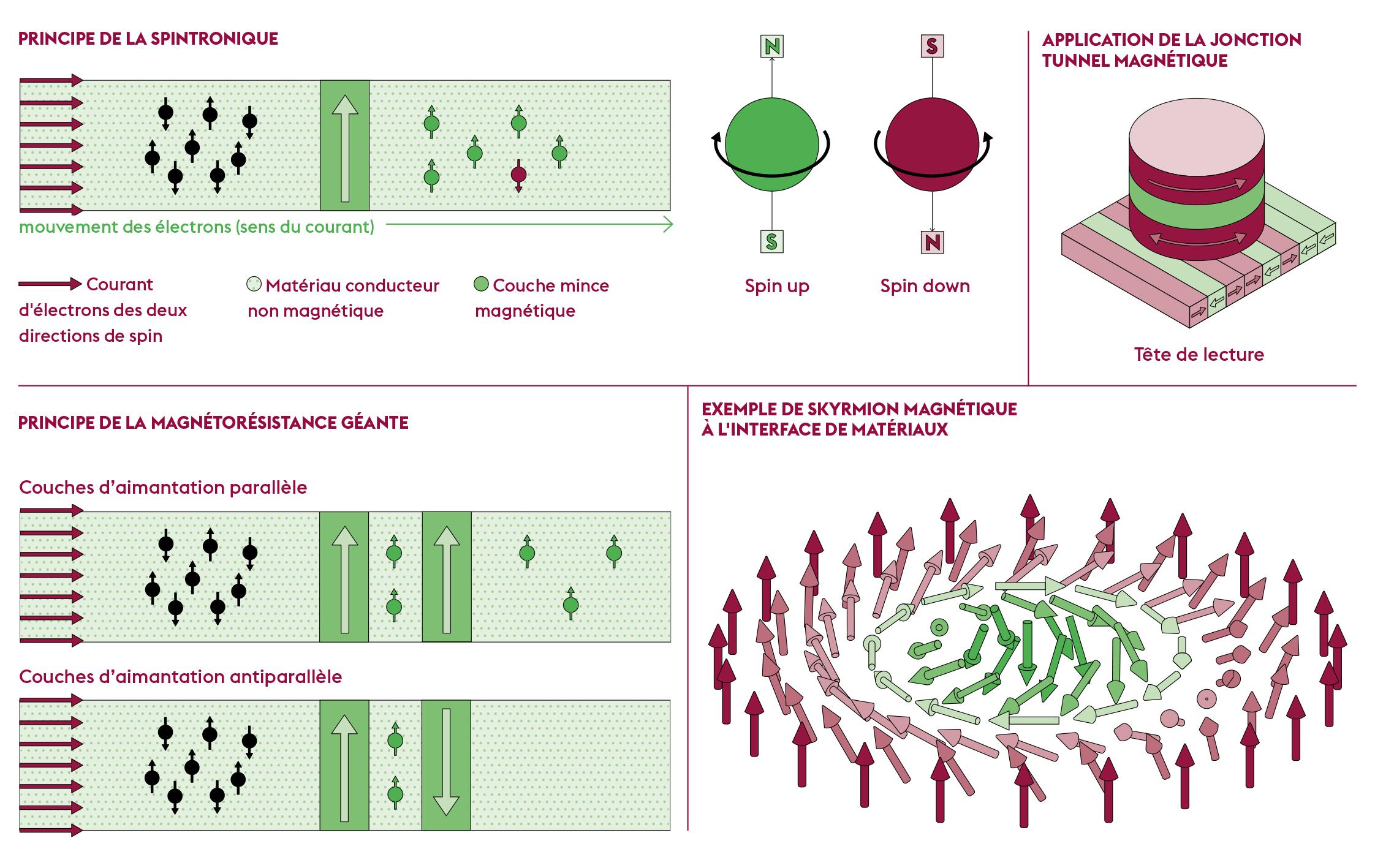 La spintronique et ses évolutions : les interfaces de matériaux en ...